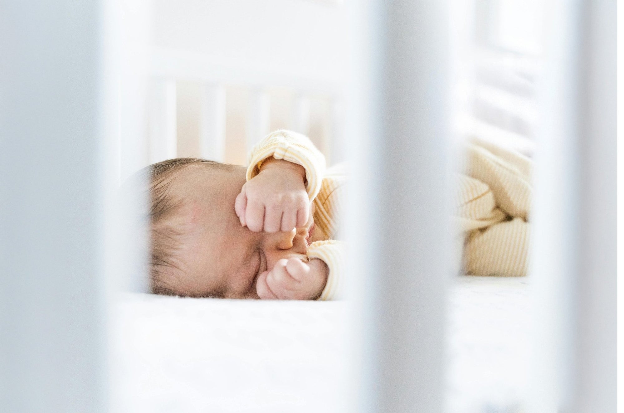 Navigating Early Wake Ups Harbor